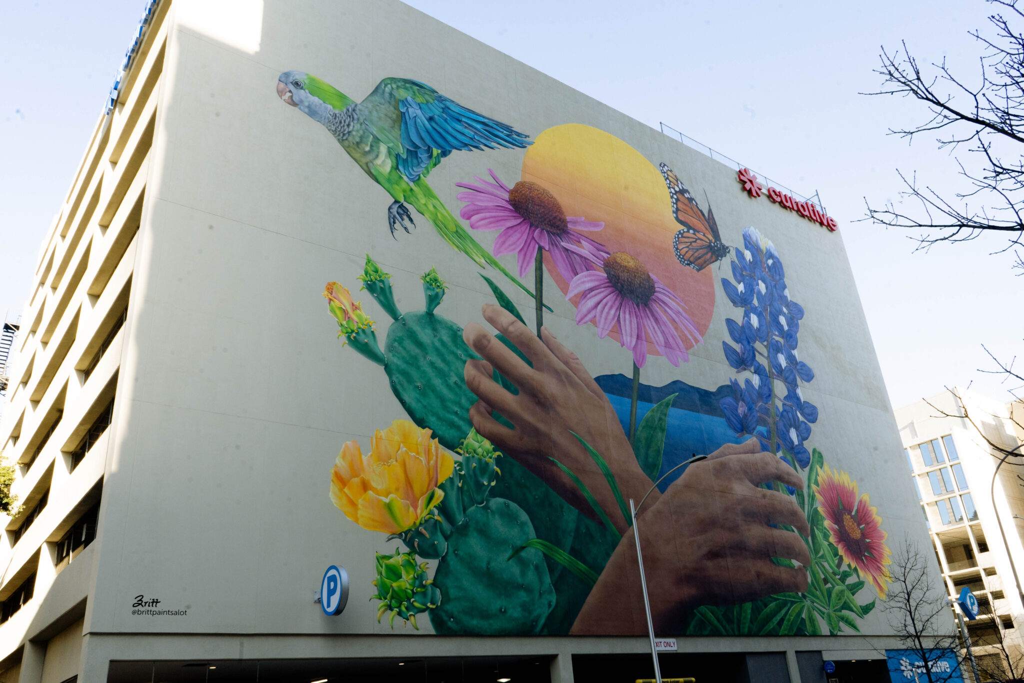 Art & Parks Tour | Downtown Austin Alliance